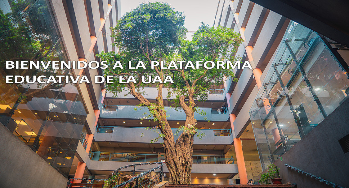 Página Principal | ecampus